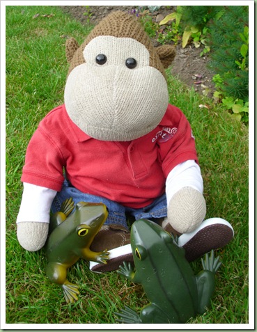 Mum's Monkey: Poundland Motion Sensor Frogs